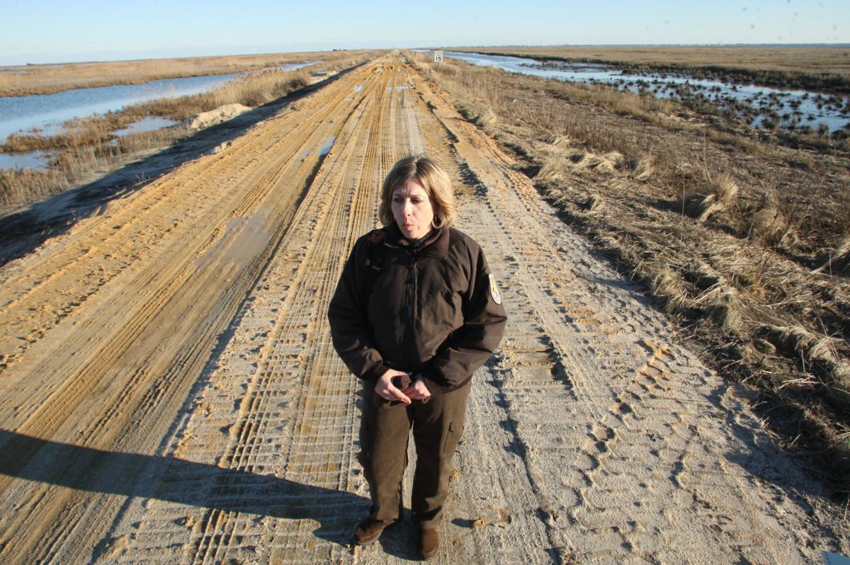 Parts of Forsythe closed for annual five-day shotgun hunt