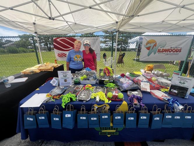 Charity pickleball tournament has to turn away players