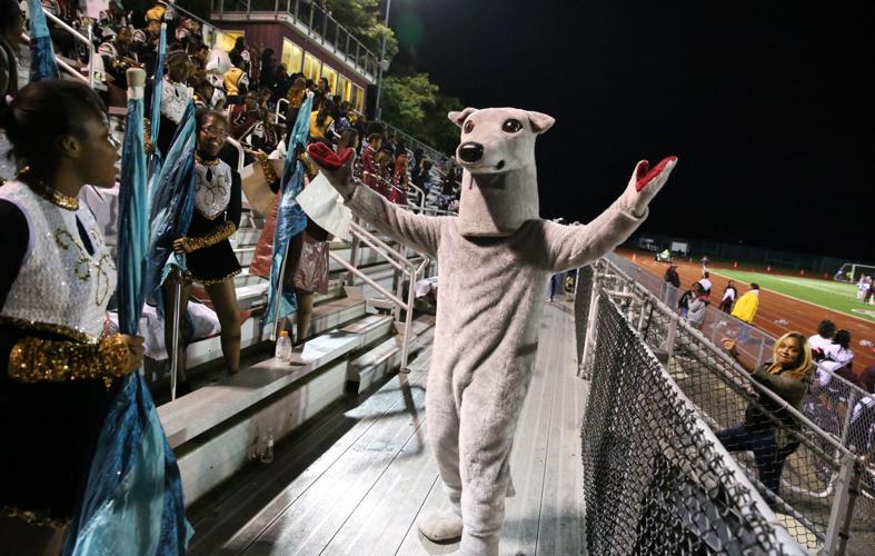 Mascot mysteries: Just where did local team names originate?