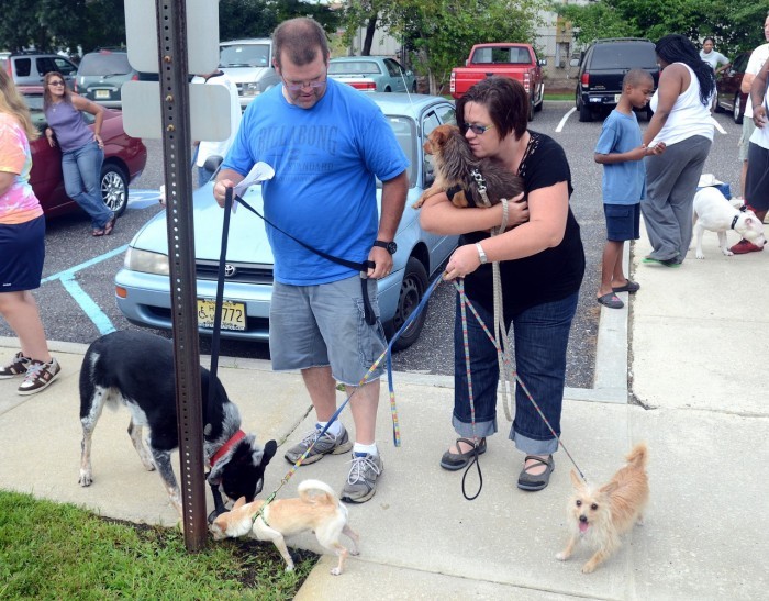 Rabies a rising concern among South Jersey pet owners