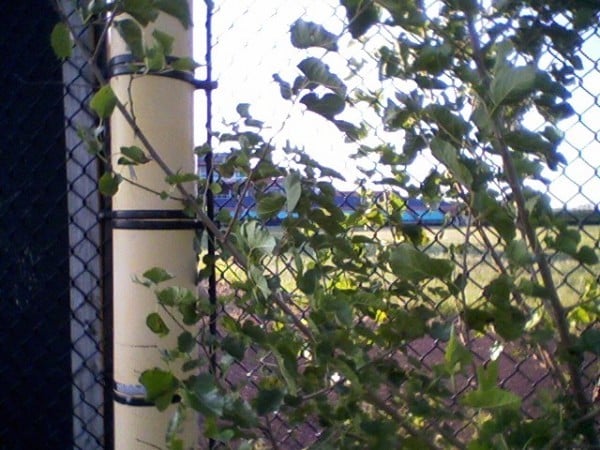 Battered up! Atlantic City's Bernie Robbins Stadium falls into disrepair