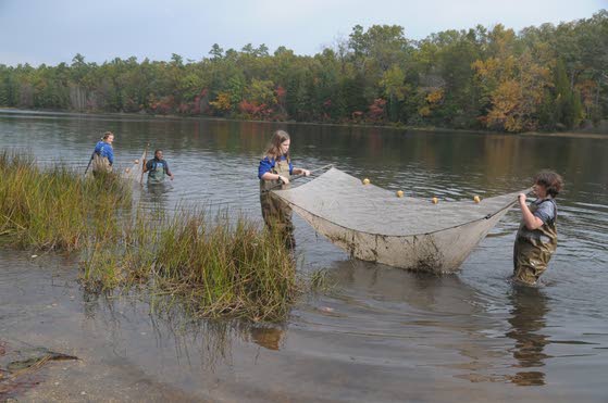 Hammonton Middle School students learn to test the waters at Batsto Lake