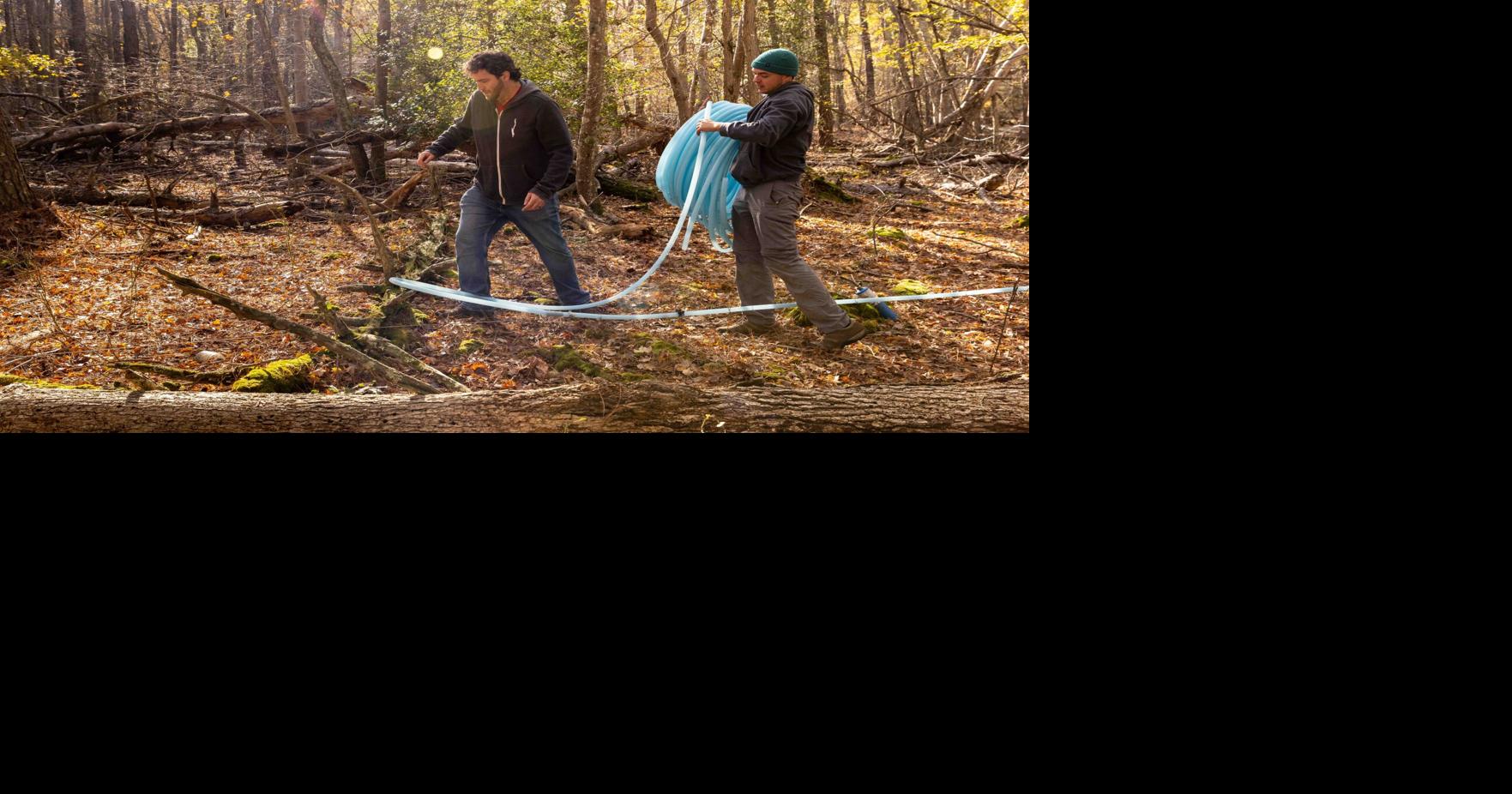 Stockton receives $500,000 USDA Grant to grow maple syrup project