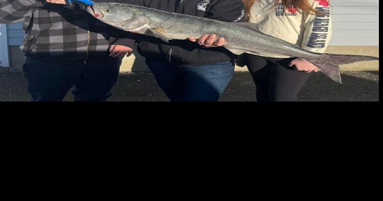 11-5-pound bluefish caught in Ship Bottom on LBI