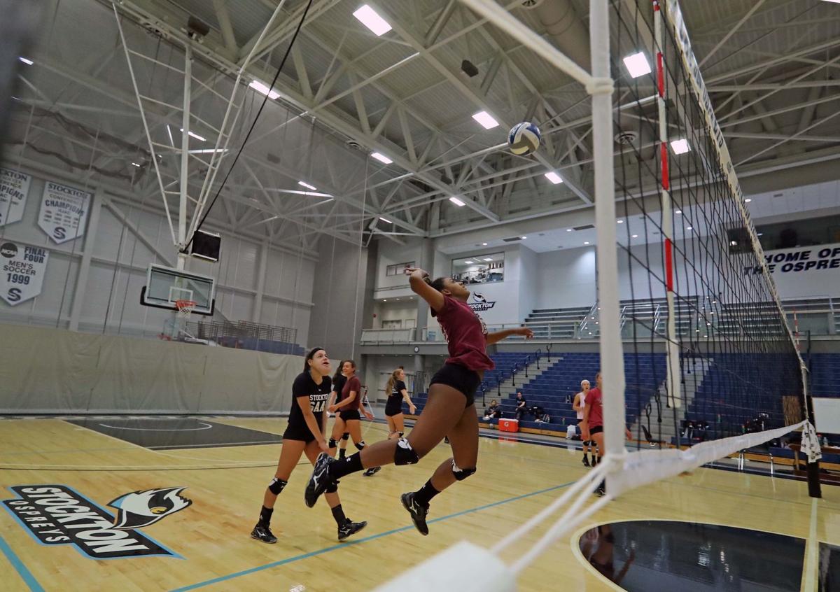 NJAC volleyball coaches see Stockton as team to beat