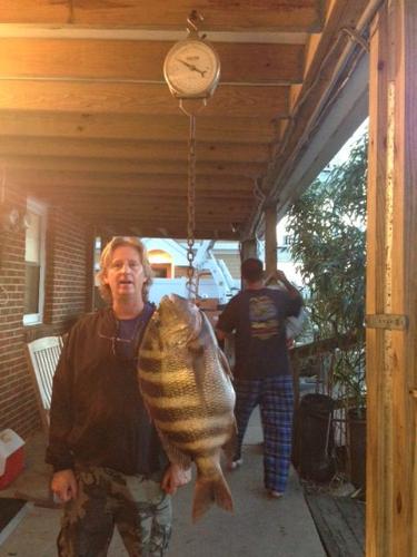 Shep on Fishing: Bill Catino catches state-record 19.25-pound ...