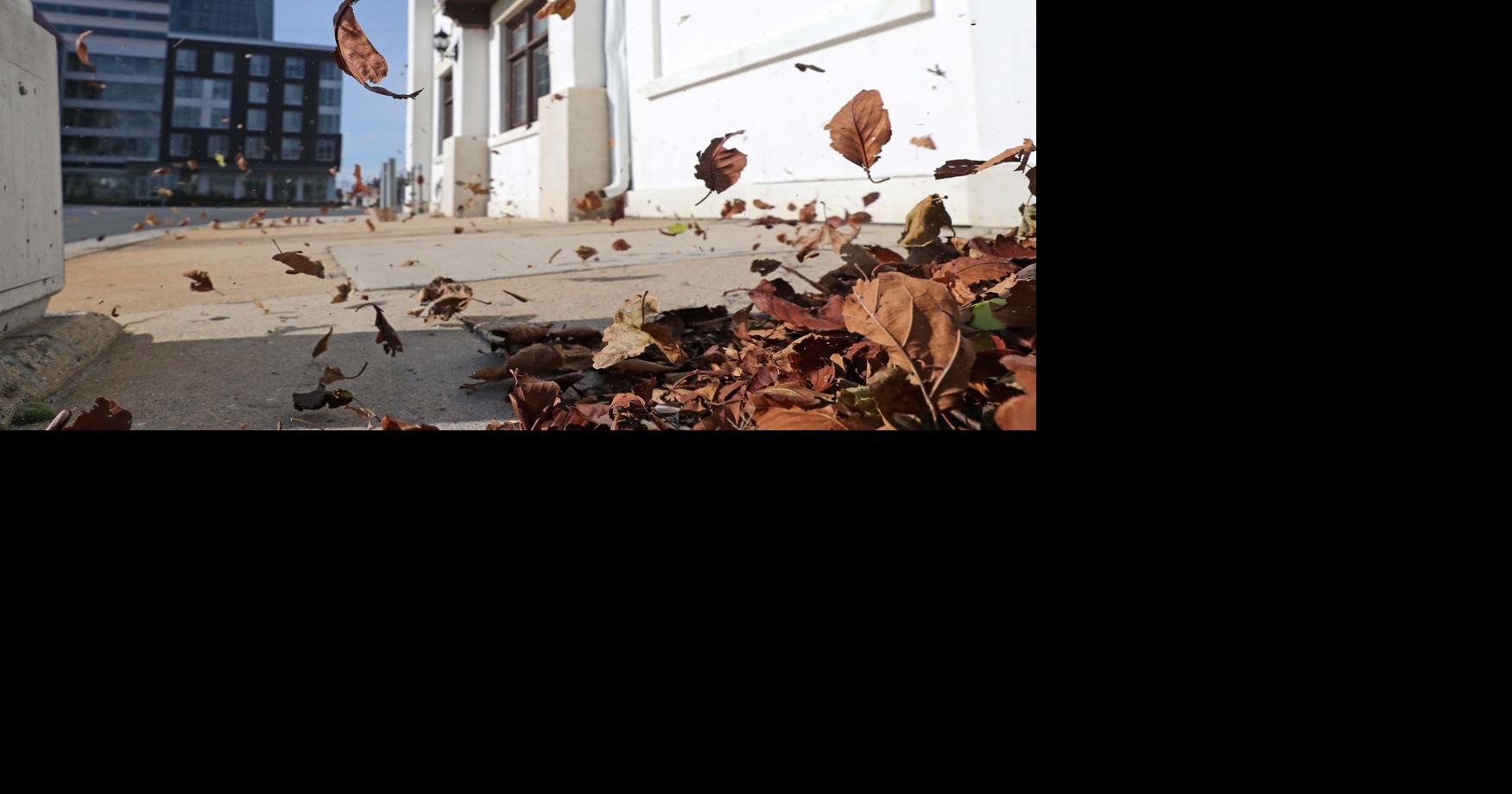 Weather: Chilly wind blows as climatological winter begins Tuesday