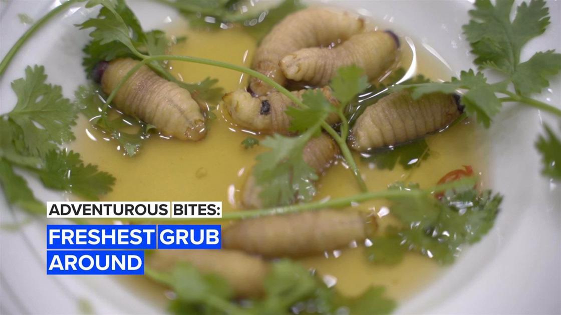 Try a big bowl of worms if you visit Vietnam | Video ...