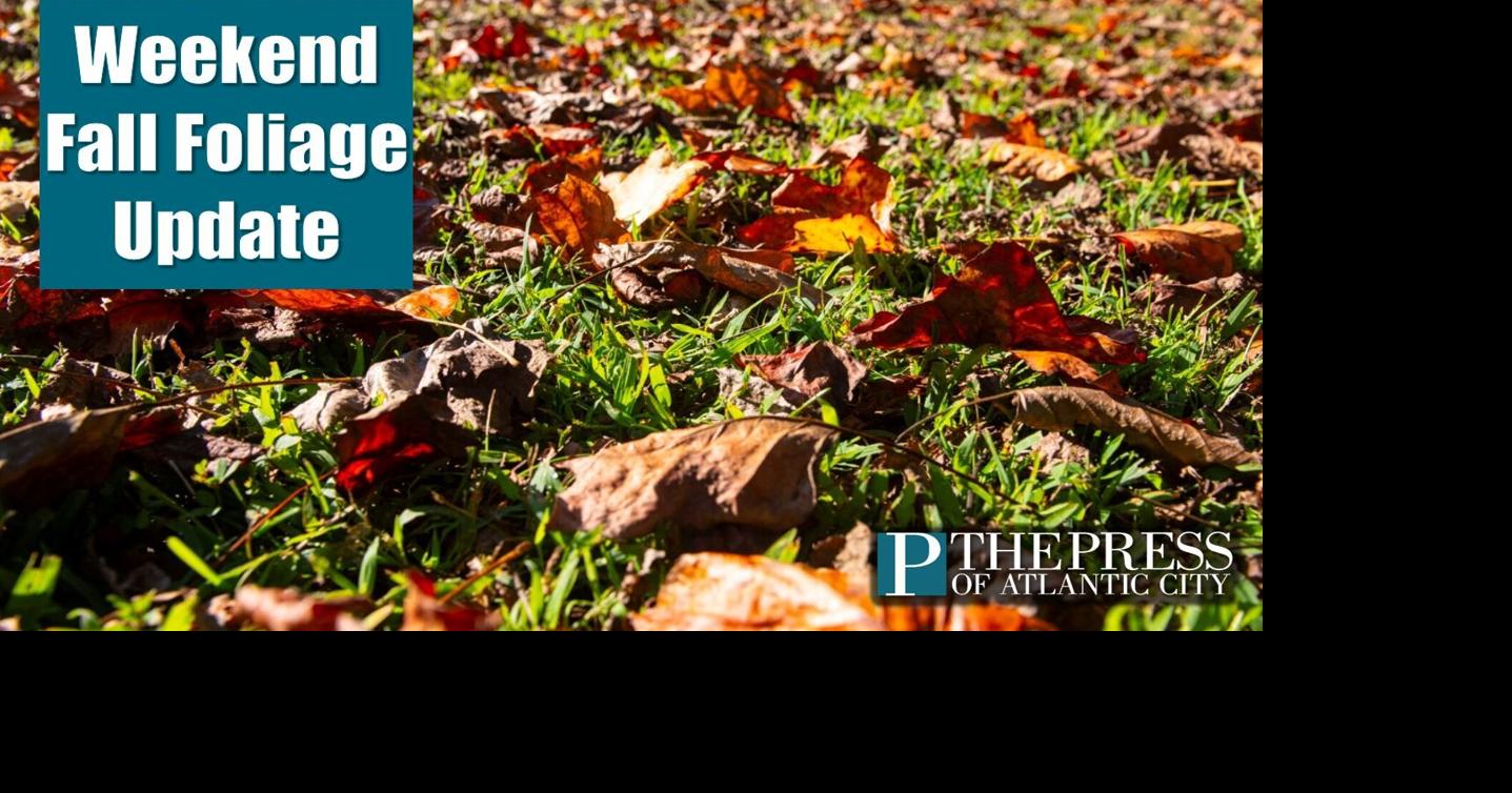 NJ fall foliage forecast for November