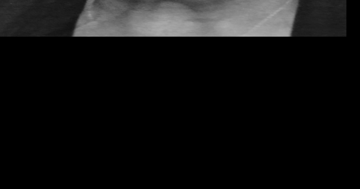 SMITH, AUDREY LYDIA CAROLYN HICKS,