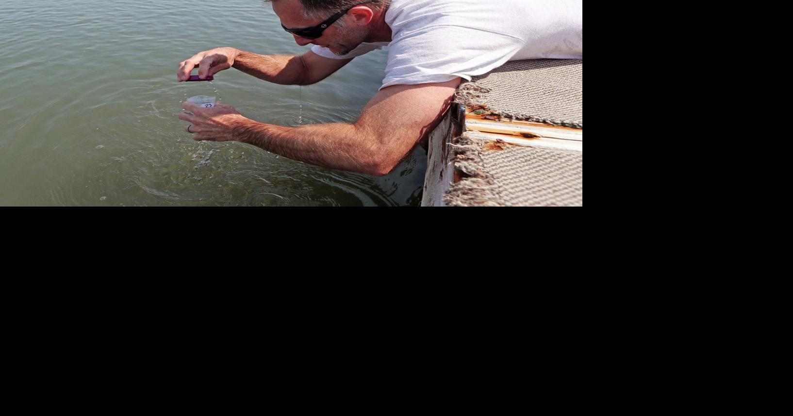 How South Jersey tests ocean water quality