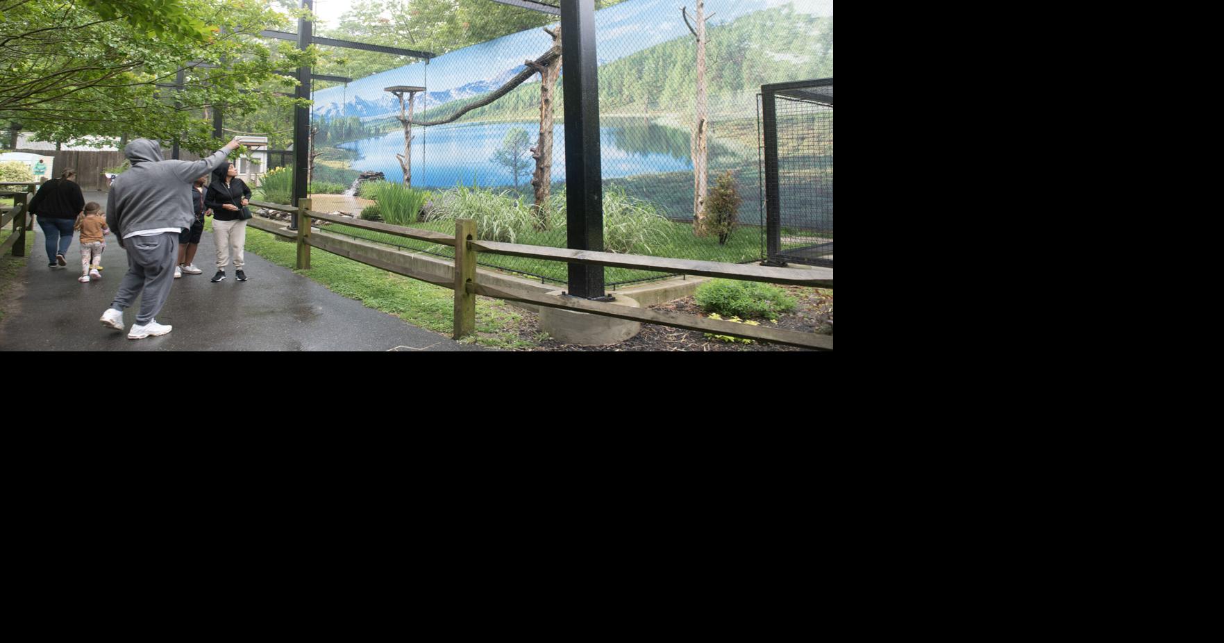 GALLERY: A rainy day at the Cape May County Zoo