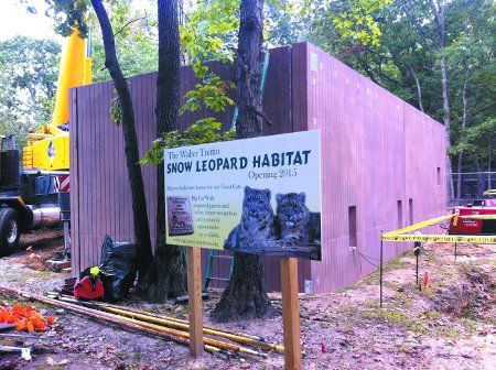 Snow leopard house erected at zoo