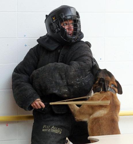 Policewomen and their K-9s take a bite out of crime
