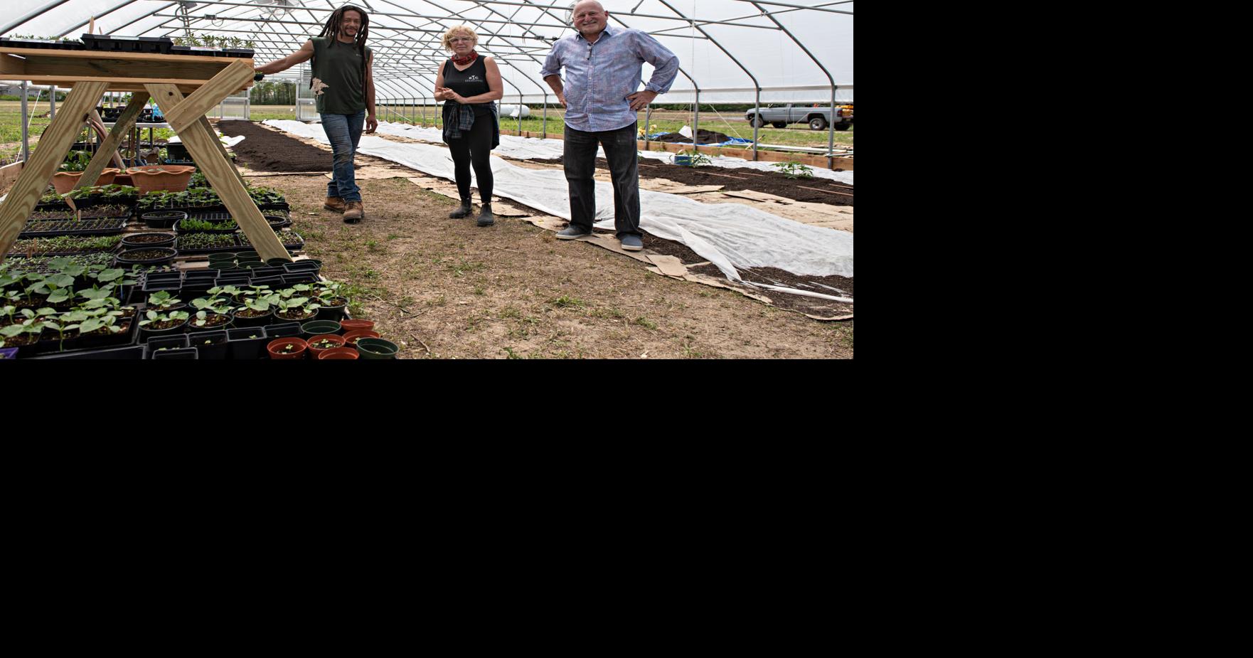 Produce starts growing again at Reed's Farm in Egg Harbor Township