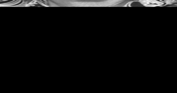 CERRONE, CLAIRE(nee Riddle)