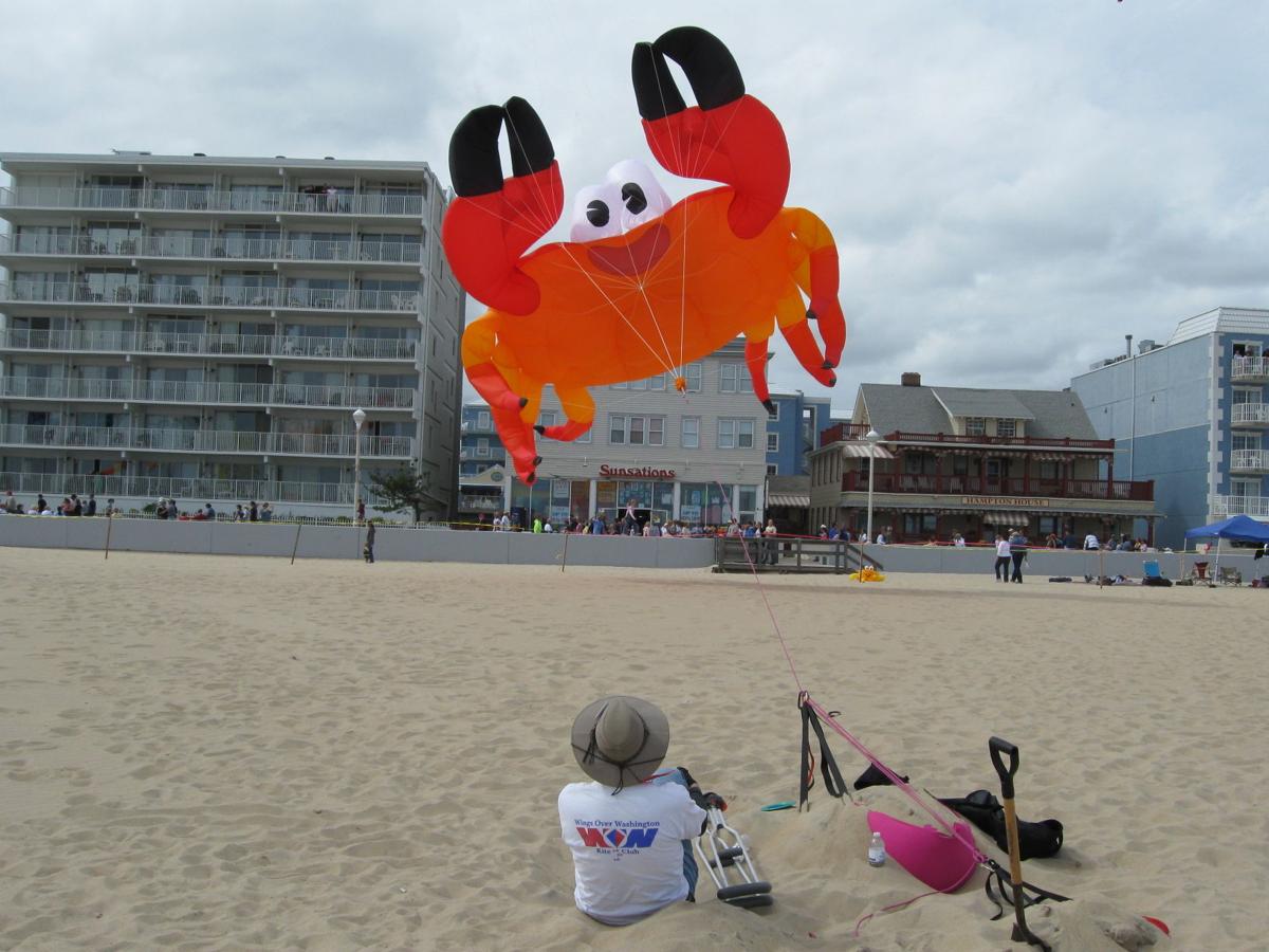 LBI to host first international kite festival