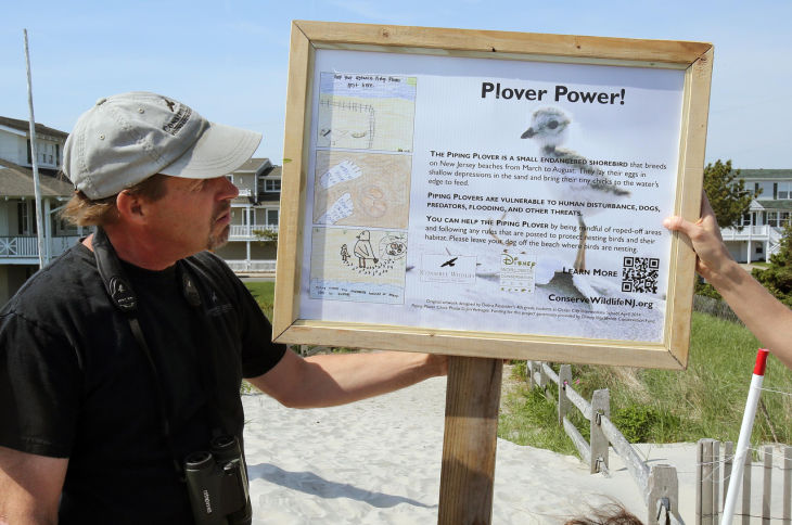 Ocean City students post signs to protect piping plovers in Strathmere