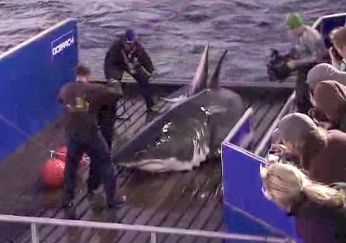 Mary Lee heads out to sea after another South Jersey visit