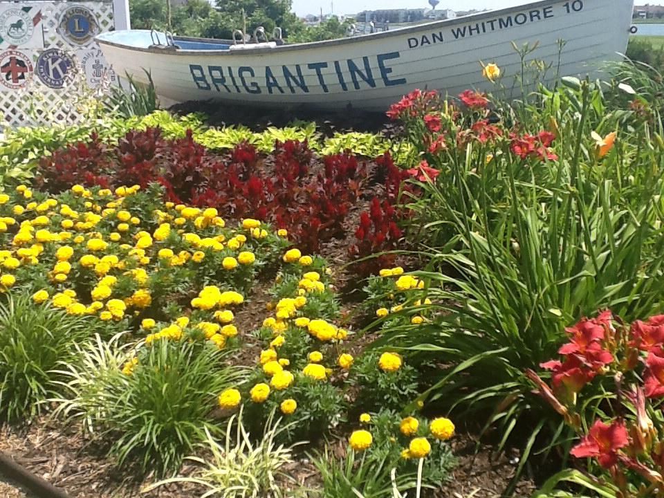 Time to get growing in Brigantine
