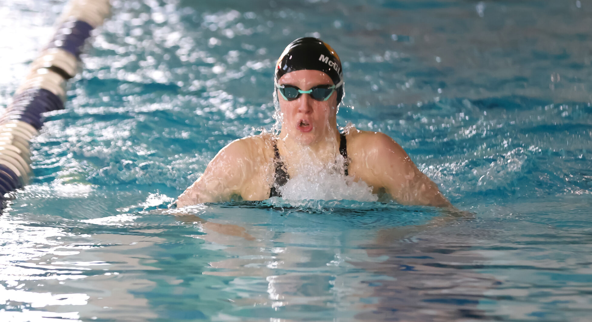 Area's best swimmers at Meet of Champions this weekend