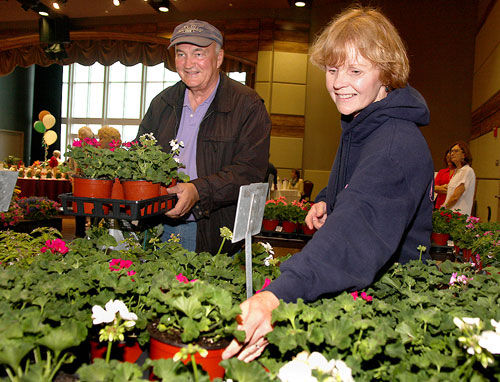 Garden Club flower show blooms at Convention Hall