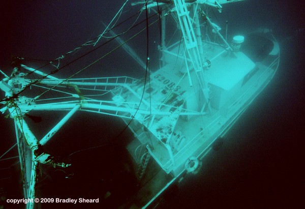 Lady Mary divers float collision theory