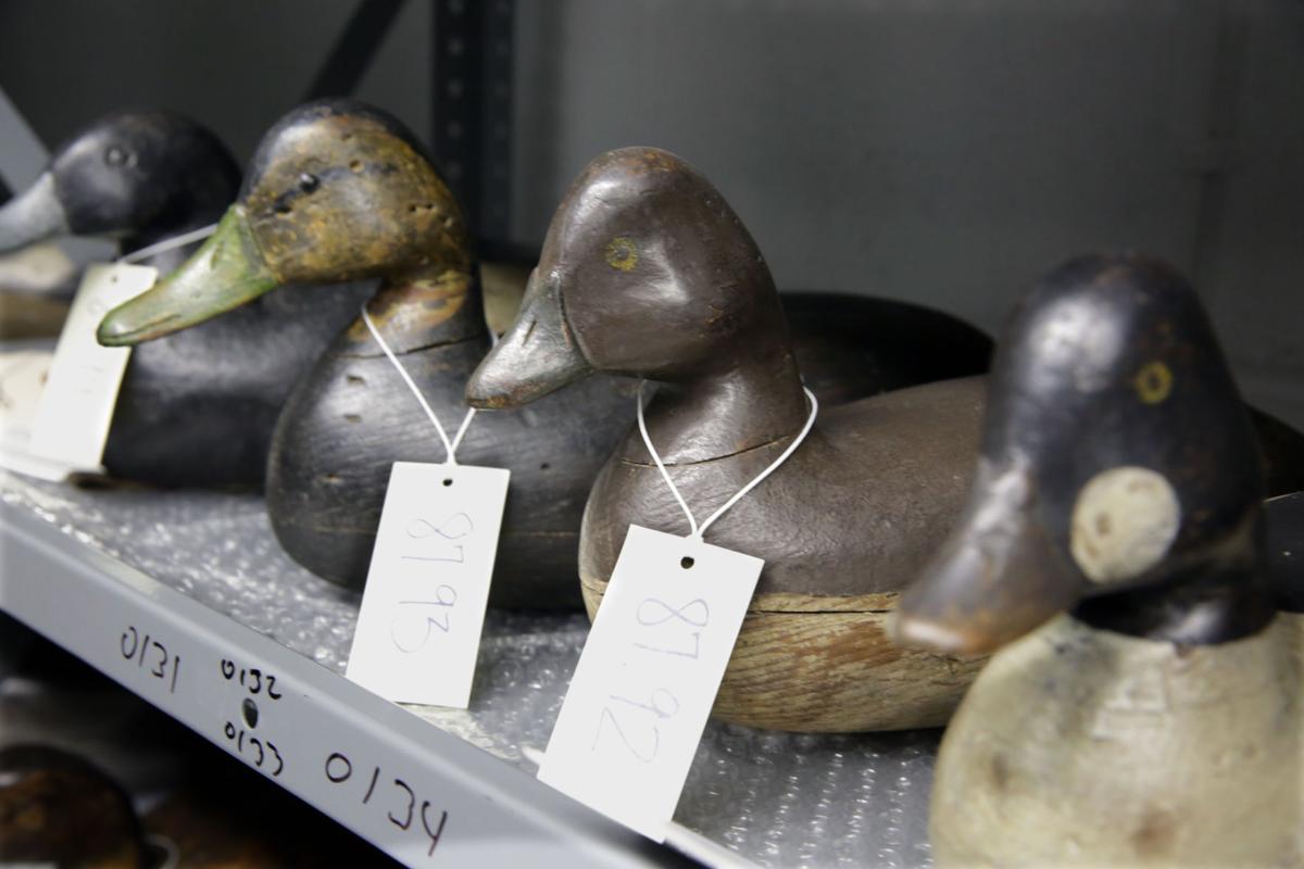 Hurry! Just two more days to visit Noyes Museum | Latest Headlines ...