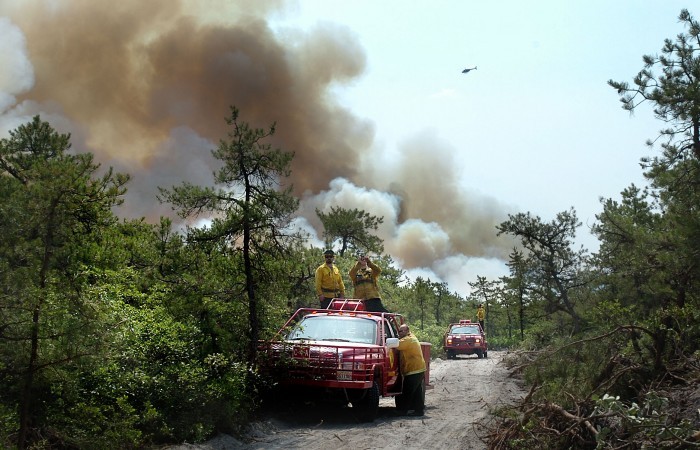 Barnegat forest fire fully contained; lightning attributed as cause