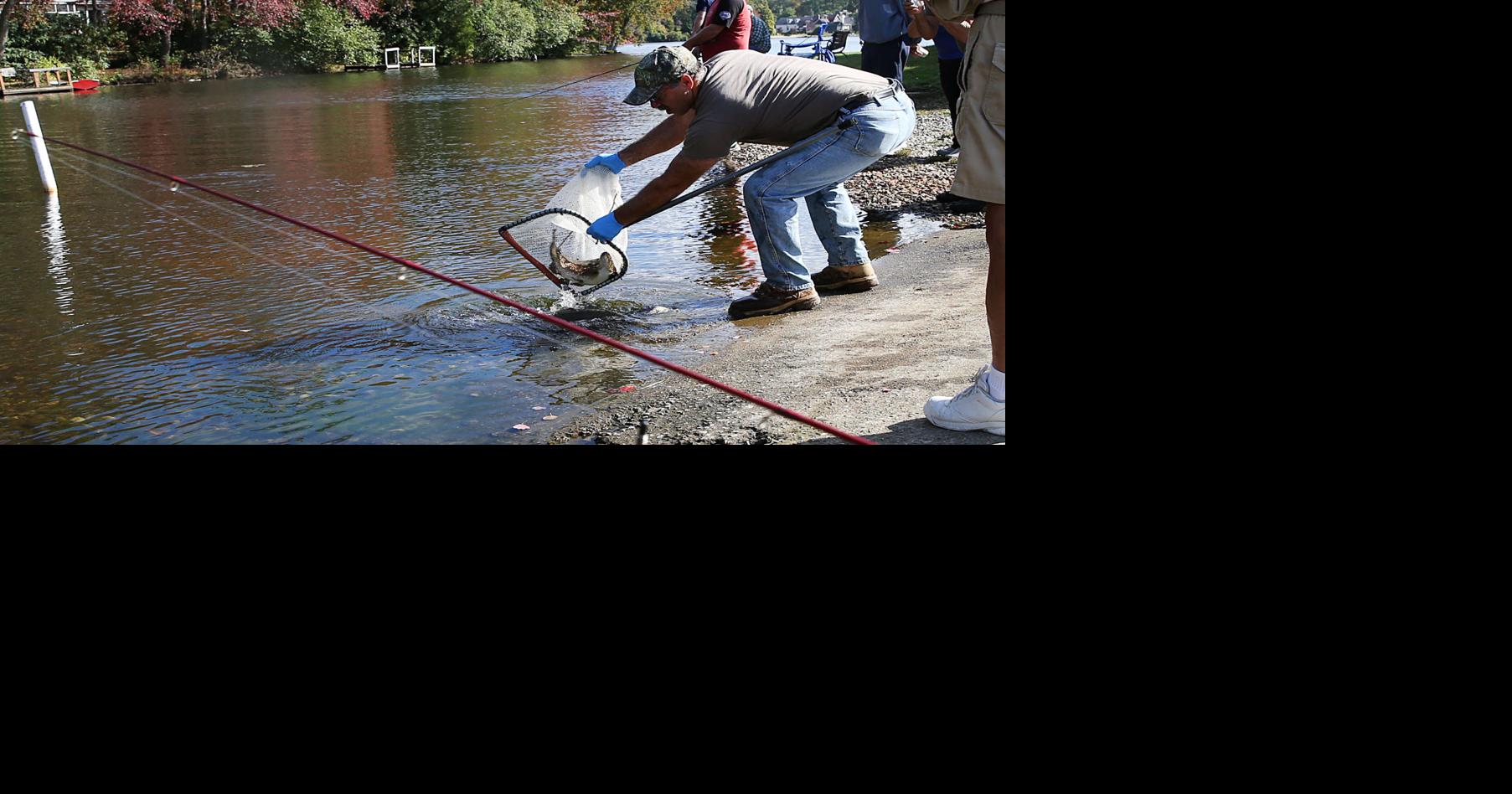 Anglers crowd streams and lakes as state stocks them with trout