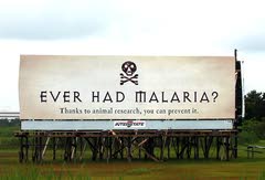 Animal testing simply isn't that effective