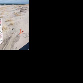 ‘Massive’ beach project in Strathmere will take year-and-a-half