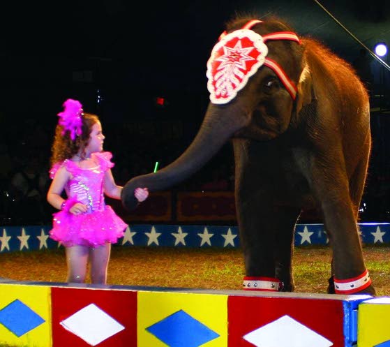 Cole Bros. Circus in Vineland among events At The Shore Today