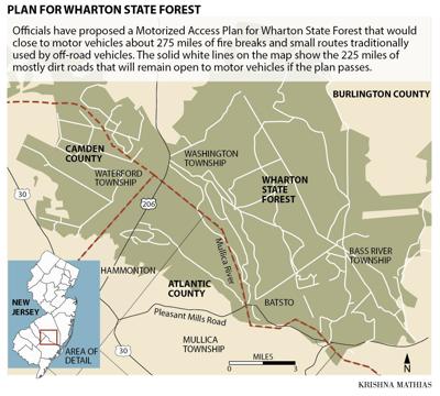 Man charged with growing pot in Wharton State Forest