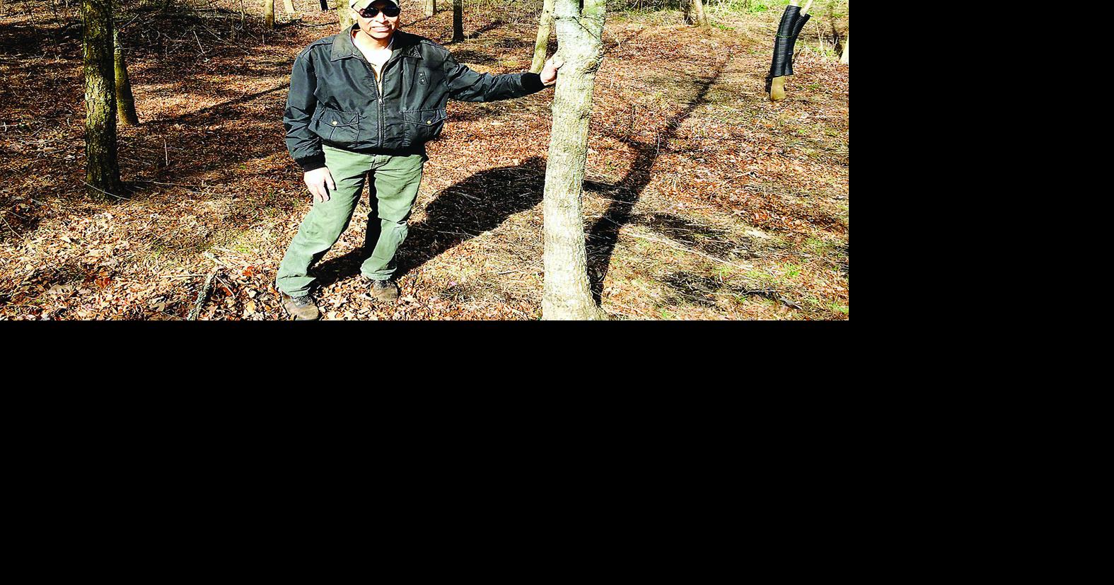 After 20 years, vine control still an important effort at state park