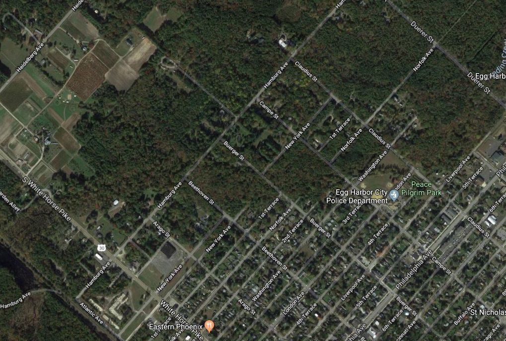 WATCH: Alligator still on the loose in Mullica, police say