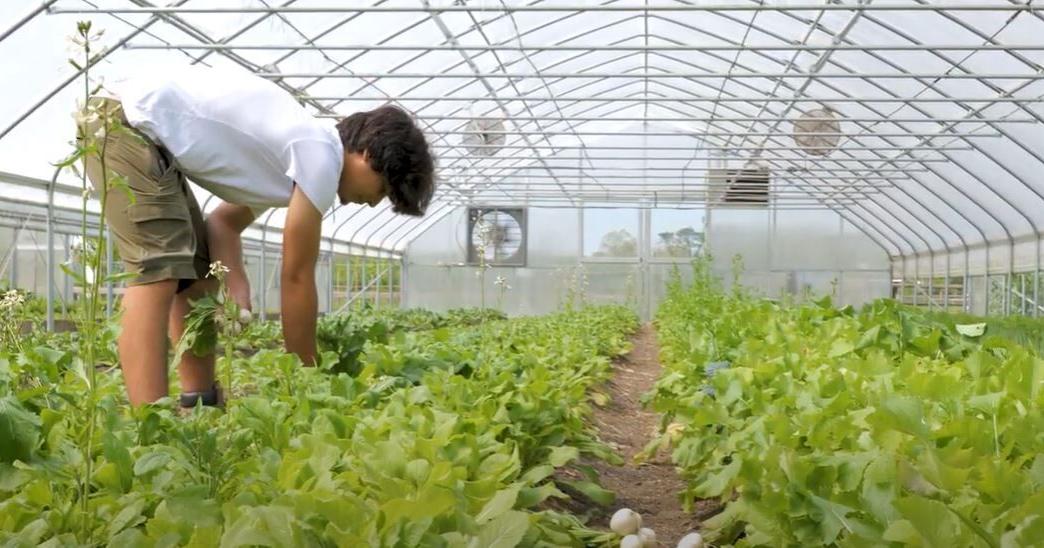 Reed's Farm pioneering regenerative farming in South Jersey