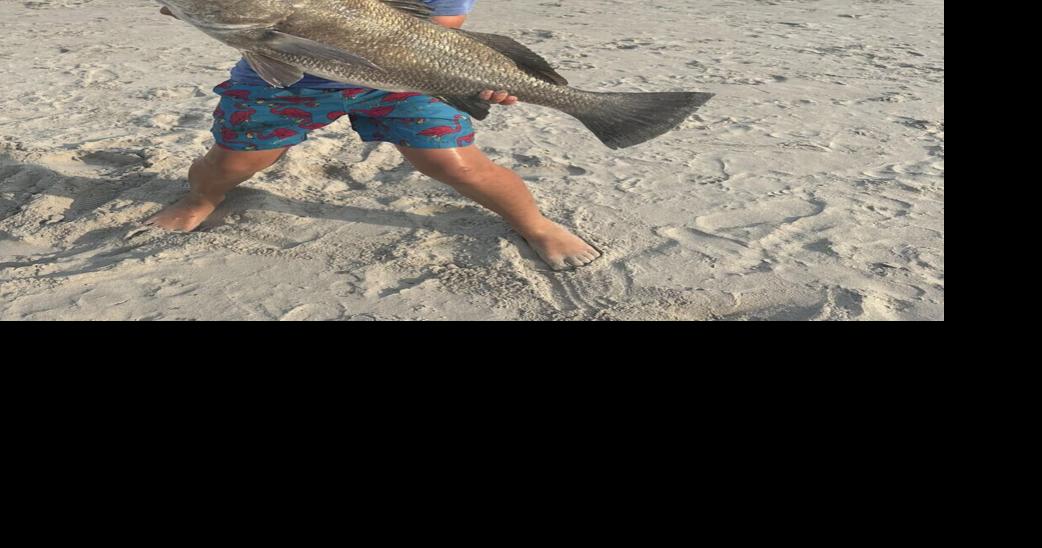 Keeper striped bass, drumfish plentiful on busy holiday weekend: Shep ...