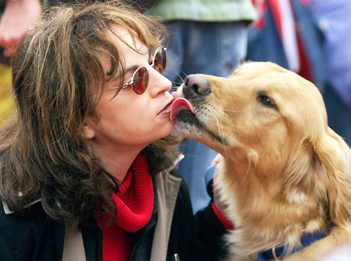 Amanda Lawhead's Instagram, Twitter & Facebook on IDCrawl