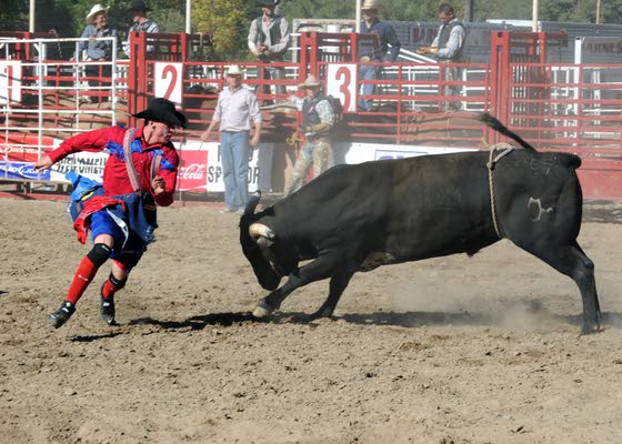 Bullfighters risk their own lives to keep rodeos safe for riders