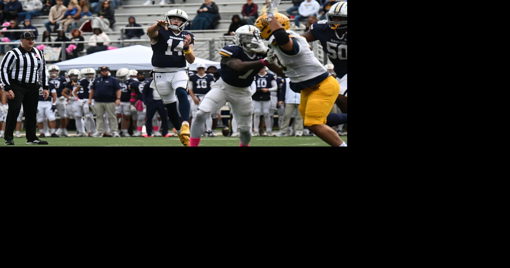 Joe Lyons throws career-high 4 TDs to lead Lycoming football