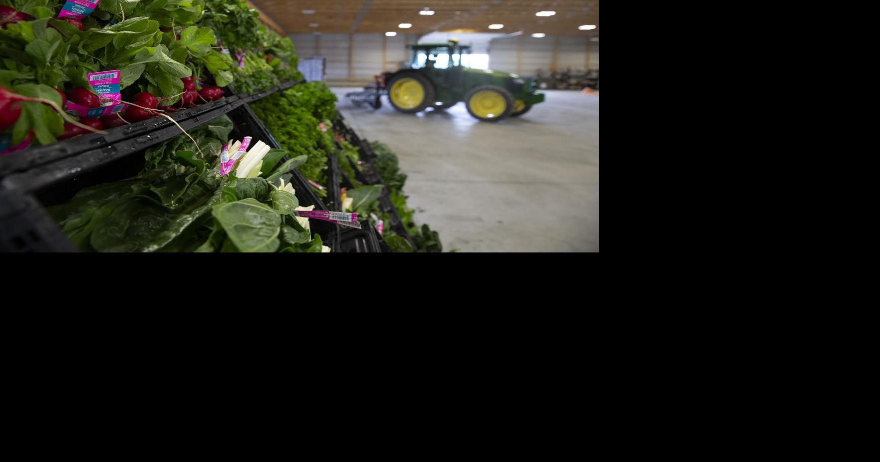 Vineland farm chosen to celebrate 40th year of Jersey Fresh