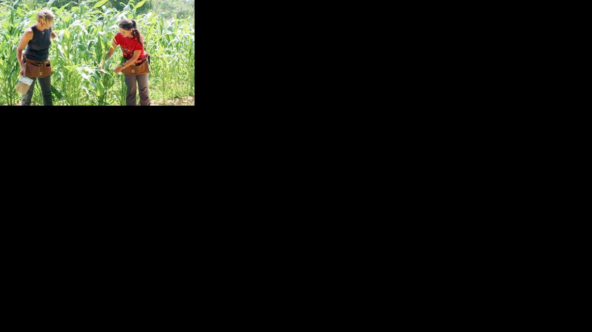 Dream of Wild Health triples acreage as need for food grows | News ...