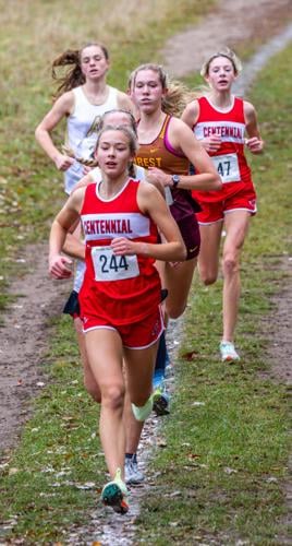Girls x-country: Cougars head back to state after close runner-up ...