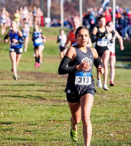 Cross country: Mustangs place 4th at state; Ousdigian, Mehta are all ...
