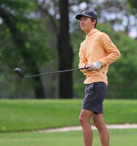 Boys golf: Bears' Stanius, Fiddle qualify for state | Local | presspubs.com