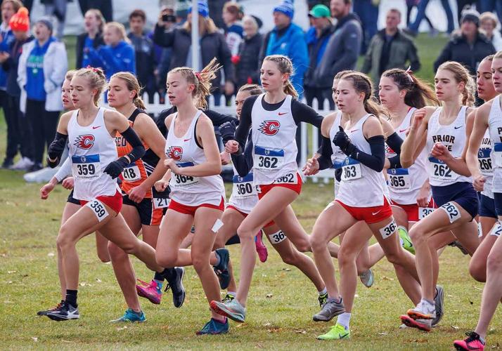 Cougar runners place 8th at state; Nelson all-state again | Local ...