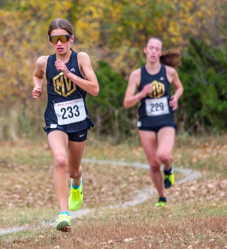 Girls x-country: Mustangs dominate Section 5AAA with Ousdigian, Taylor ...