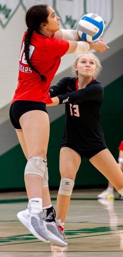 Volleyball: Cougars top Mounds View 3-0 | Local | presspubs.com