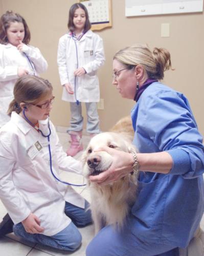 Mini-vet school | News | presspubs.com